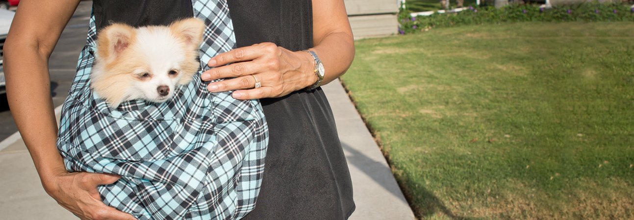 Cuddle Carriers and Slings