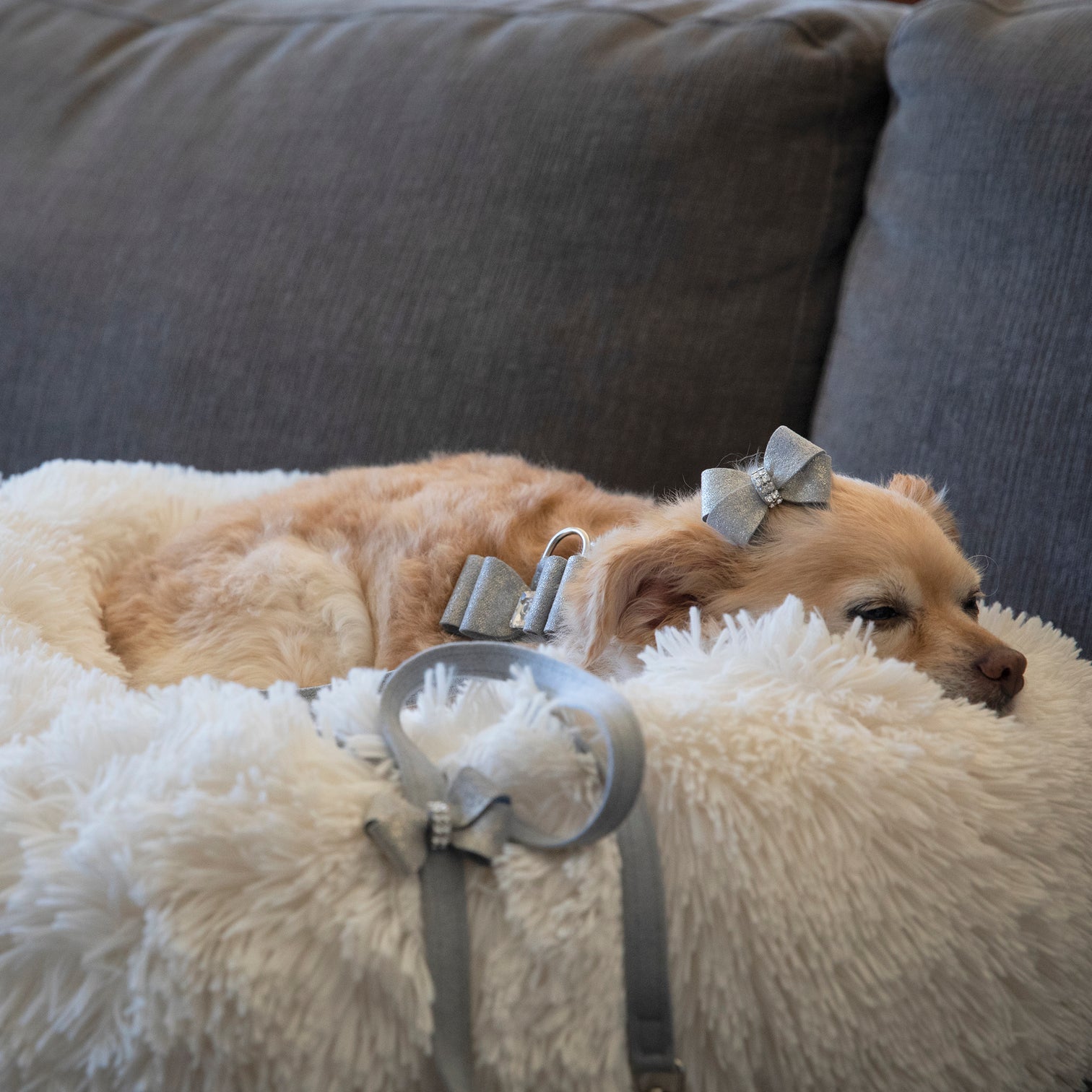 Dog Beds, Blankets & Cuddle Cups | Susan Lanci Designs Page 3