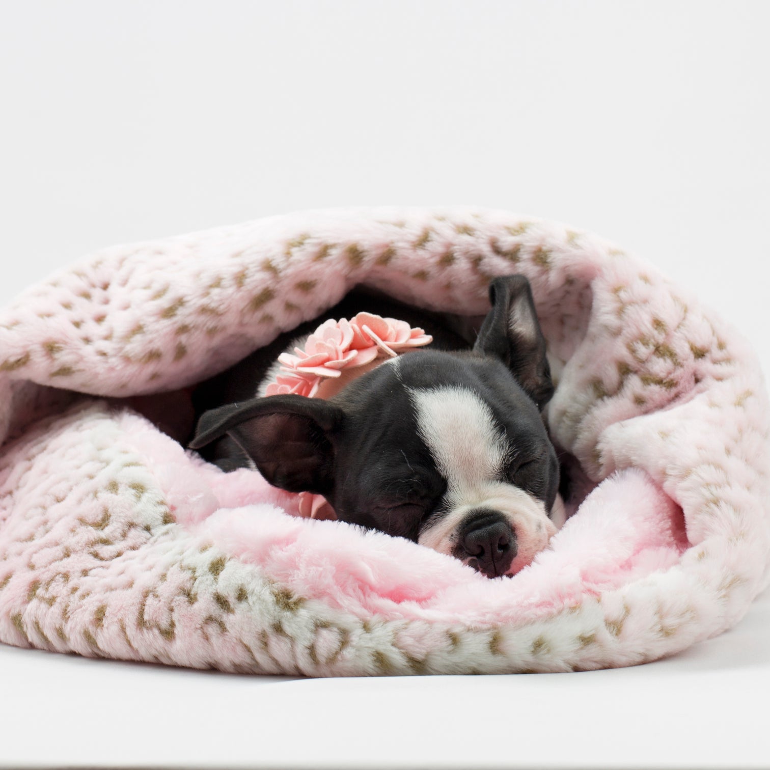 Susan Lanci Designs Cuddle Cups | Plush Doggy Sleeping Bags