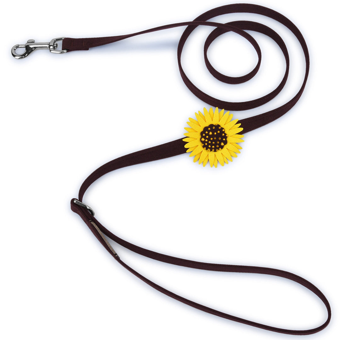 Susan Lanci Leashes | Designer Puppy and Dog Leashes