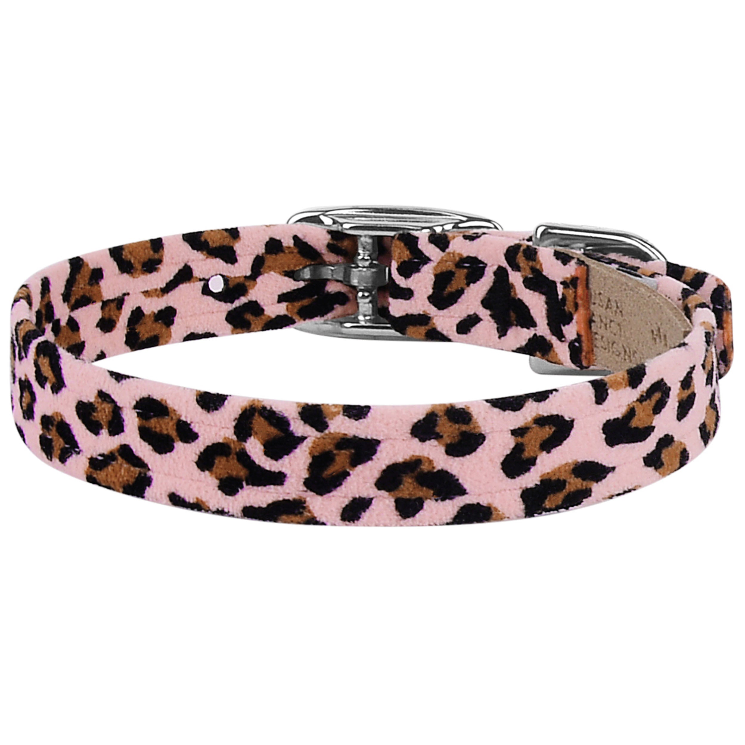 Cheetah Print Collar | For small Dogs | Susan Lanci Designs